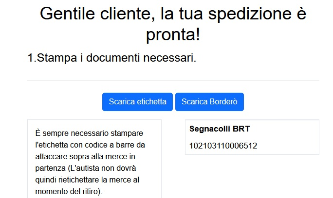 Quando e come si può visualizzare il tracking di BRT? – SpediamoPRO